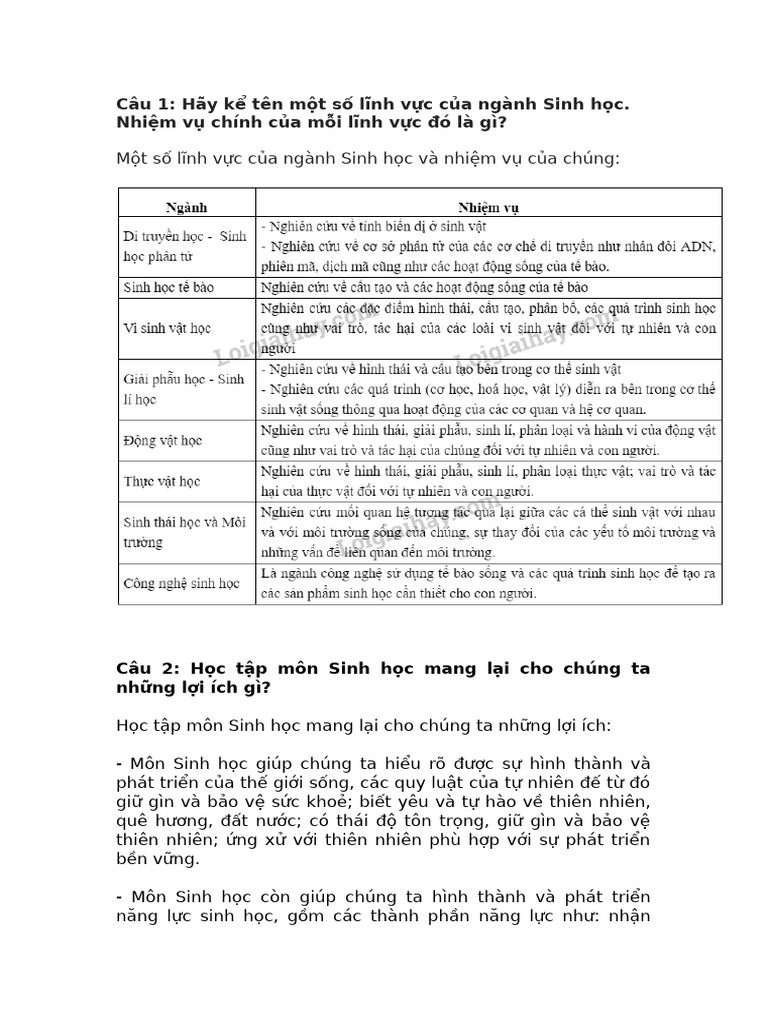 Đề Cương Ôn GK1 | PDF