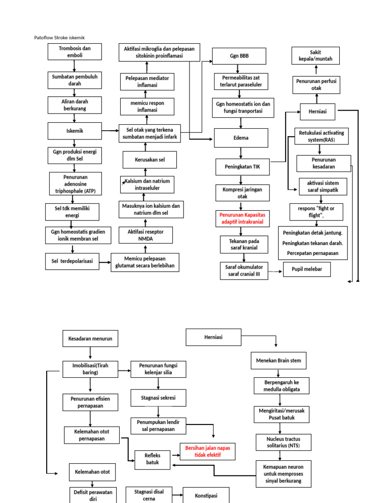 Pathoflow Stroke Iskemik | PDF