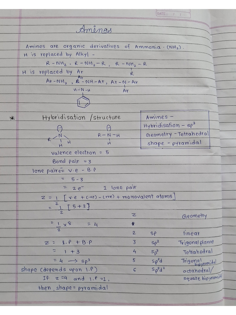 Chemistry Ch13 Amines Full Notes PDF | PDF