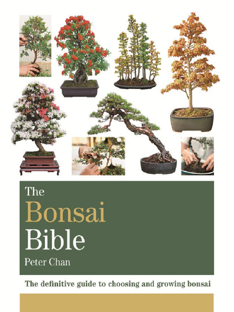 The Bonsai Bible - The Definitive Guide To Choosing and Growing Bonsai - King Reader | PDF ...