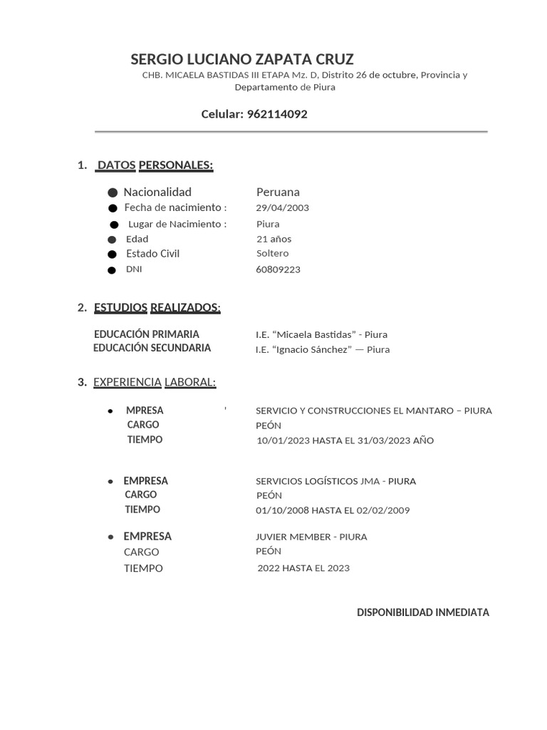 CV Daniel Raúl Perez Dedios | PDF