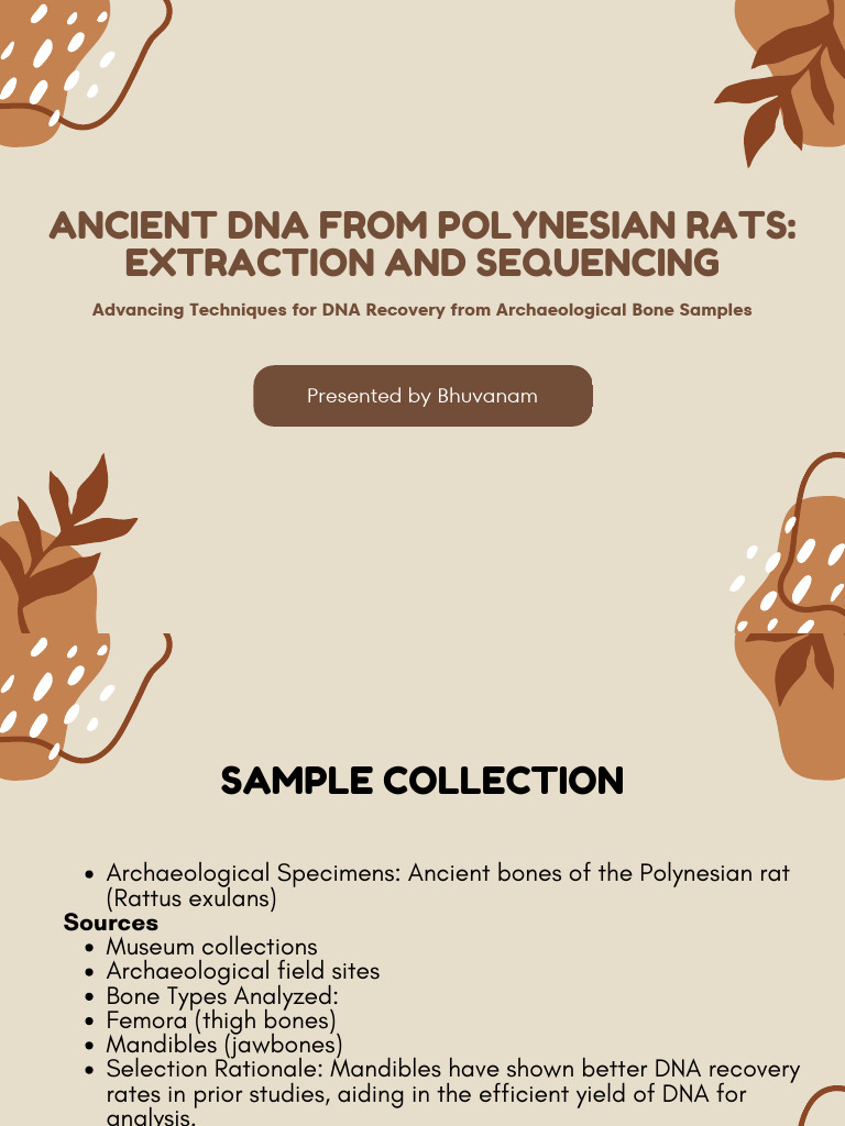 Ancient DNA From Polynesian Rats Extraction and Sequencing | PDF ...