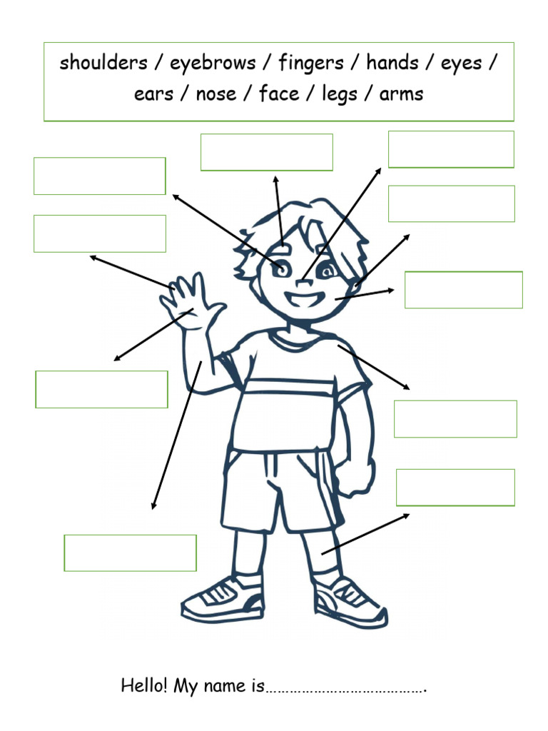 body part worksheet | PDF