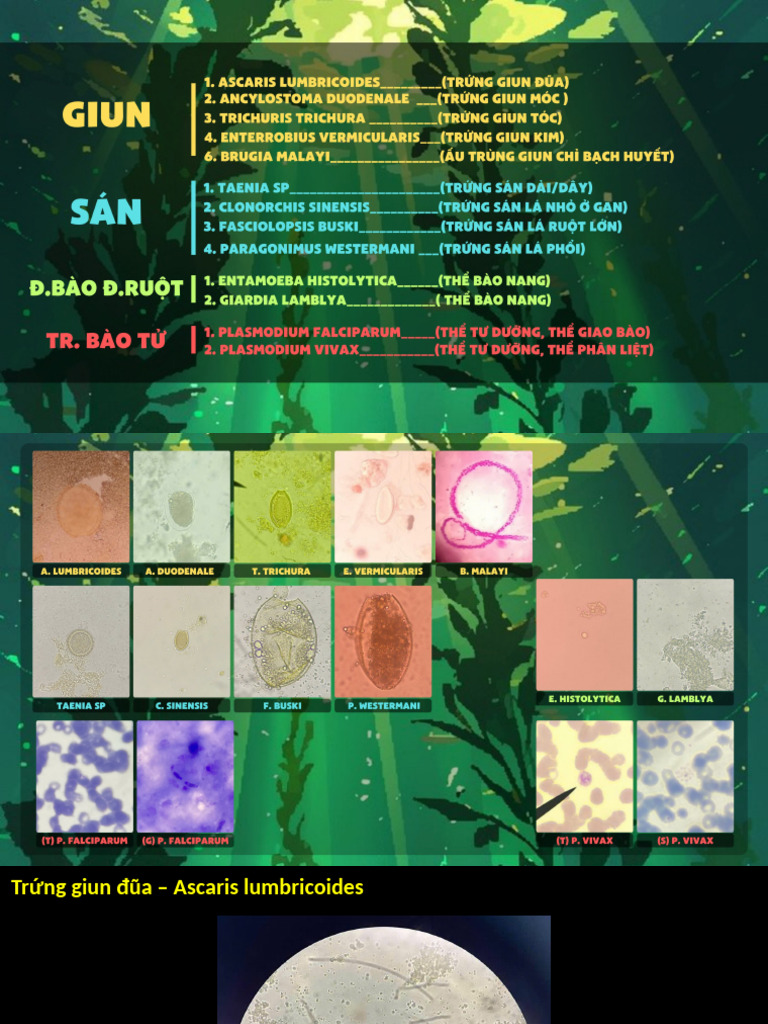 CH y TR M KST S1y2 | PDF