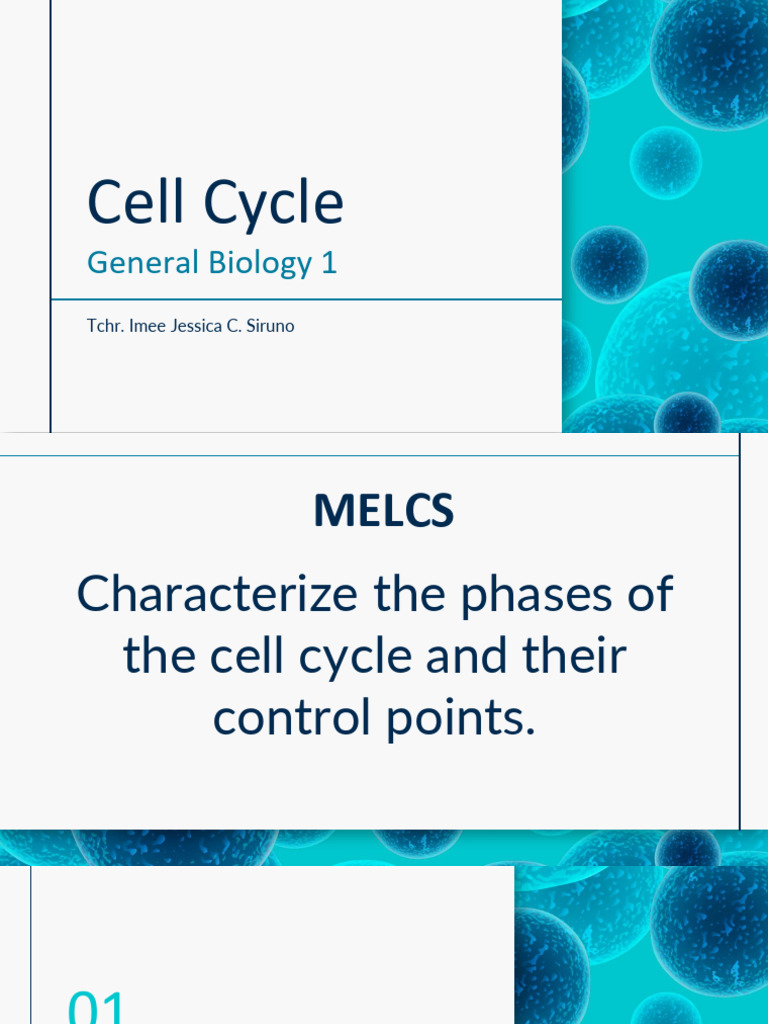Cell Cycle Basics for Students | PDF | Mitosis | Cell Cycle