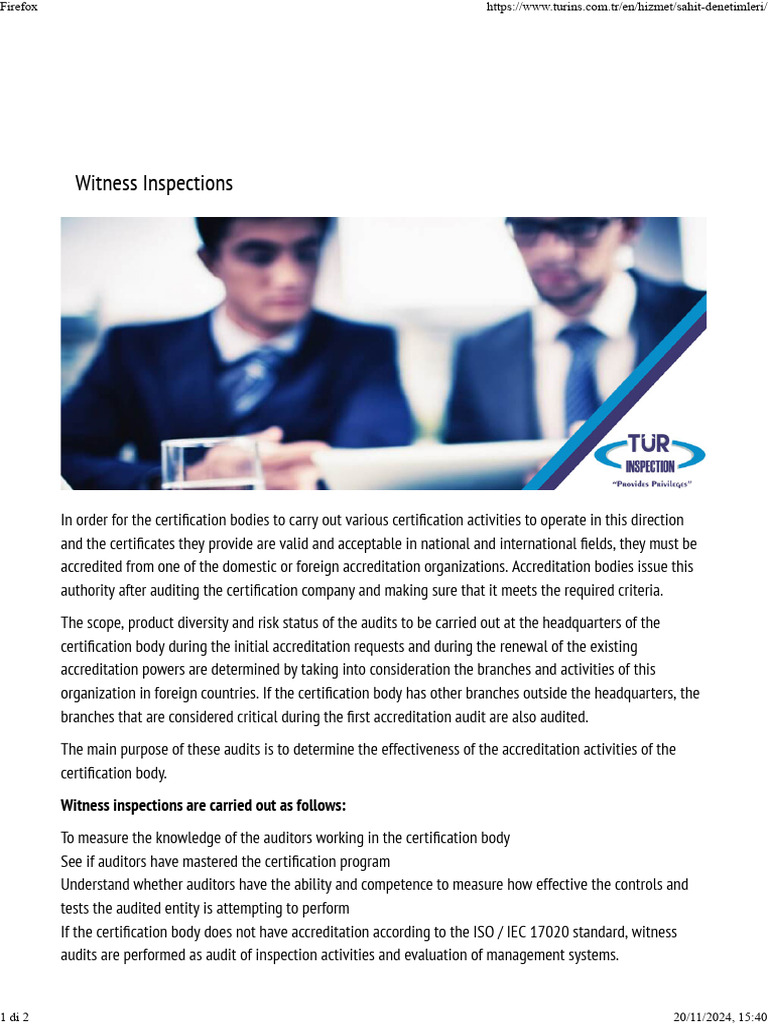 Witness Inspections | PDF | Audit | Business