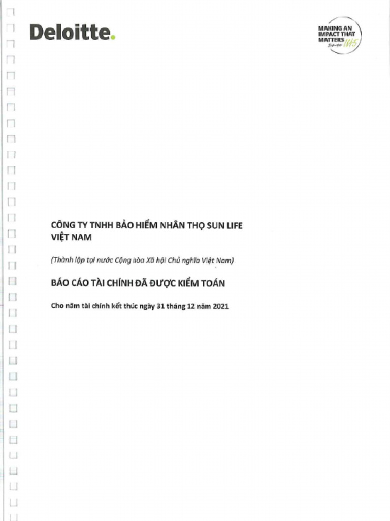 Bao Cao Tai Chinh Da Kiem Toan 2021 | PDF