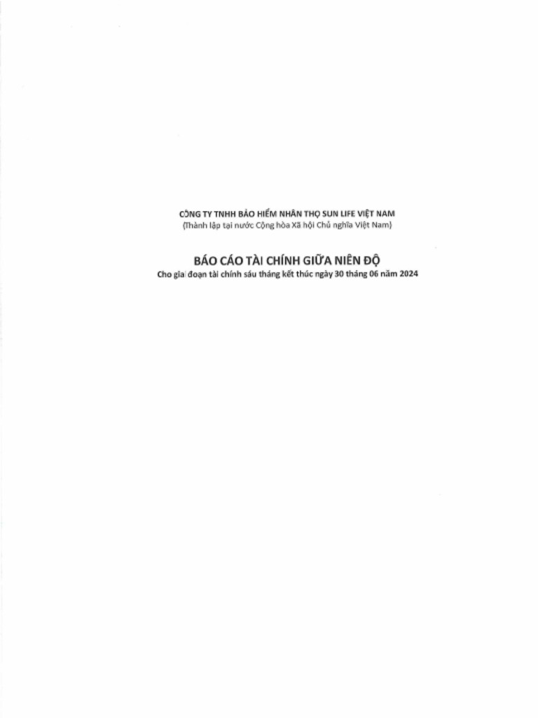 Interim FS 2024.H1-VIE-signed | PDF