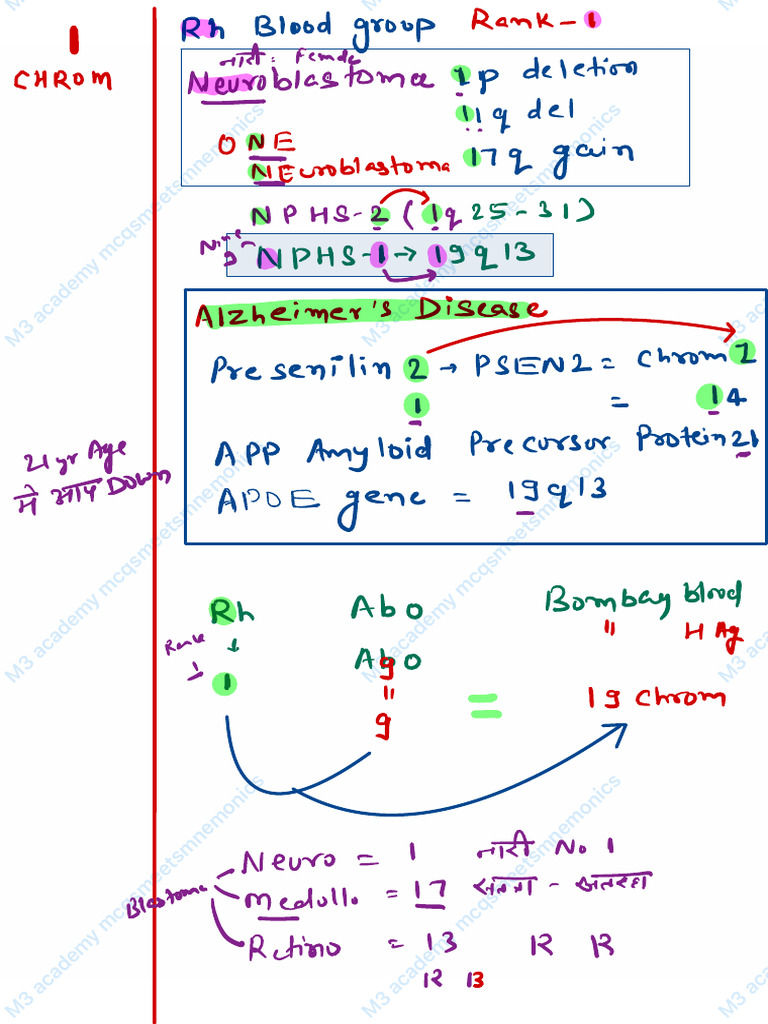 M3 Chromosomes Numbers and Disorders M3 Academy Mcqsmeetsmnemonics | PDF