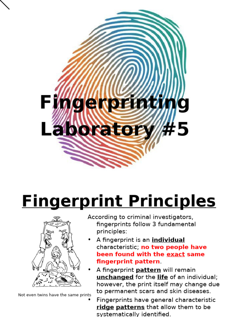 BIOL150Lab5 Fingerprinting | PDF | Fingerprint