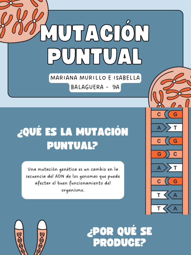 Mutación Puntual | PDF | Mutación | Adn