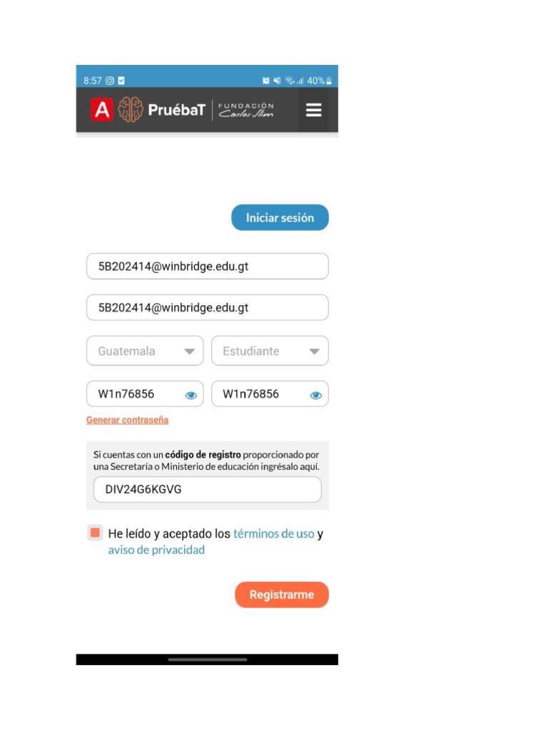 Capturas de Prueba T | PDF