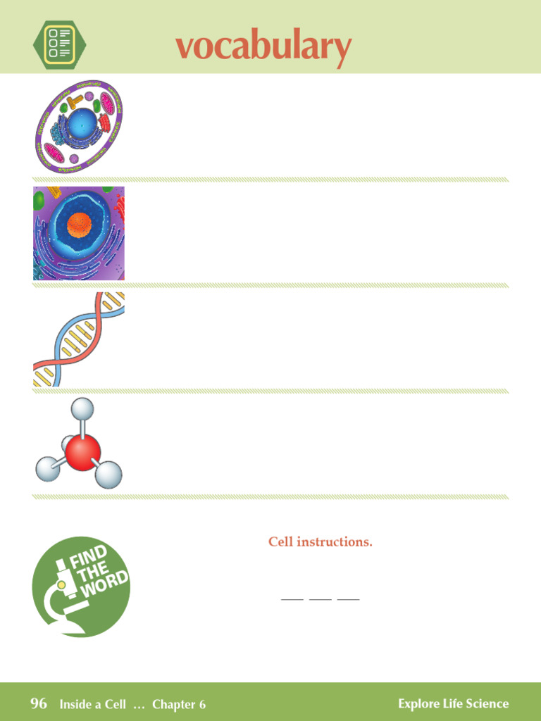 Cell Functions and Vocabulary Guide | PDF