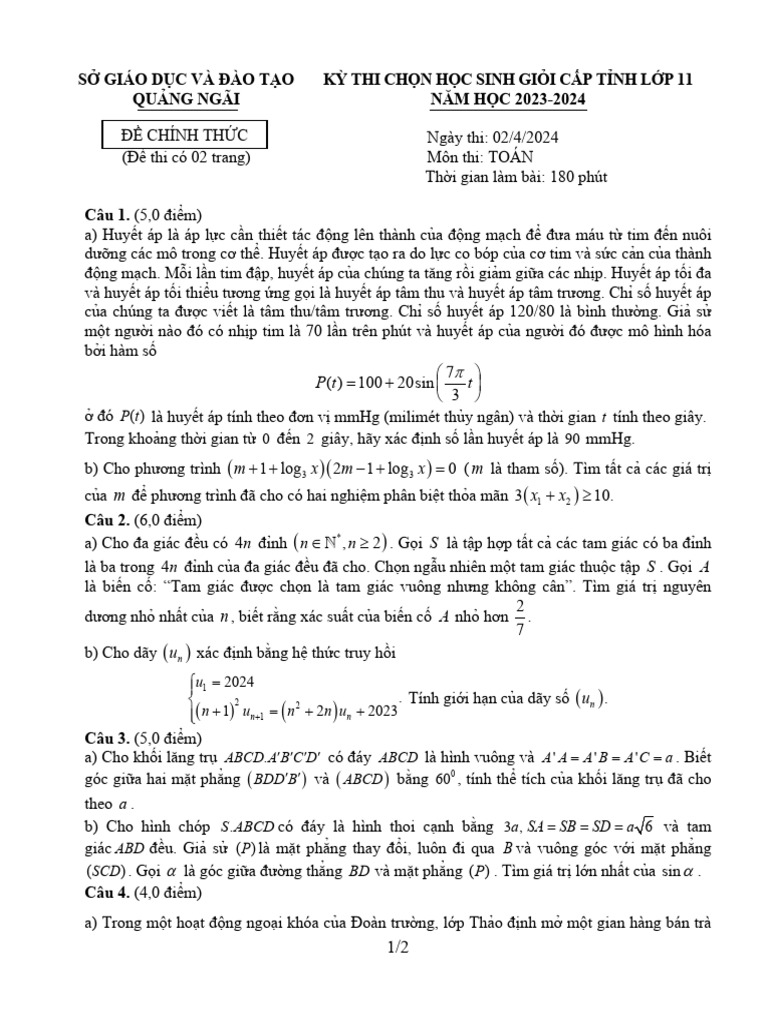 De Hoc Sinh Gioi Cap Tinh Toan 11 Nam 2023 2024 So GDDT Quang Ngai | PDF