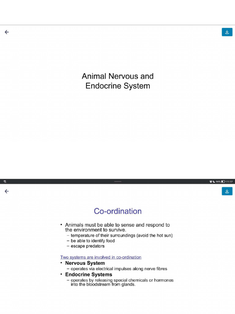 Animal Nervous and Endocrine System | PDF