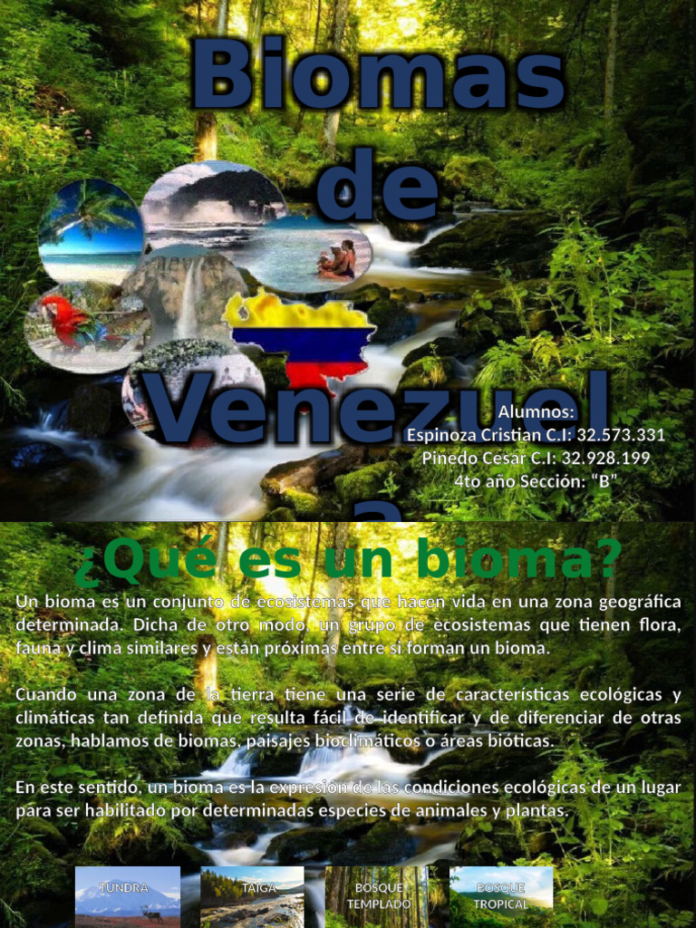 Biomas en Venezuela | PDF | Sabana | Ecosistema