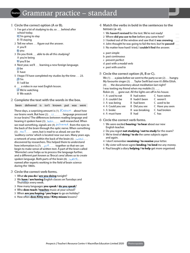 EP U0S Grammar Practice Standard | PDF | Hearing | Grammar