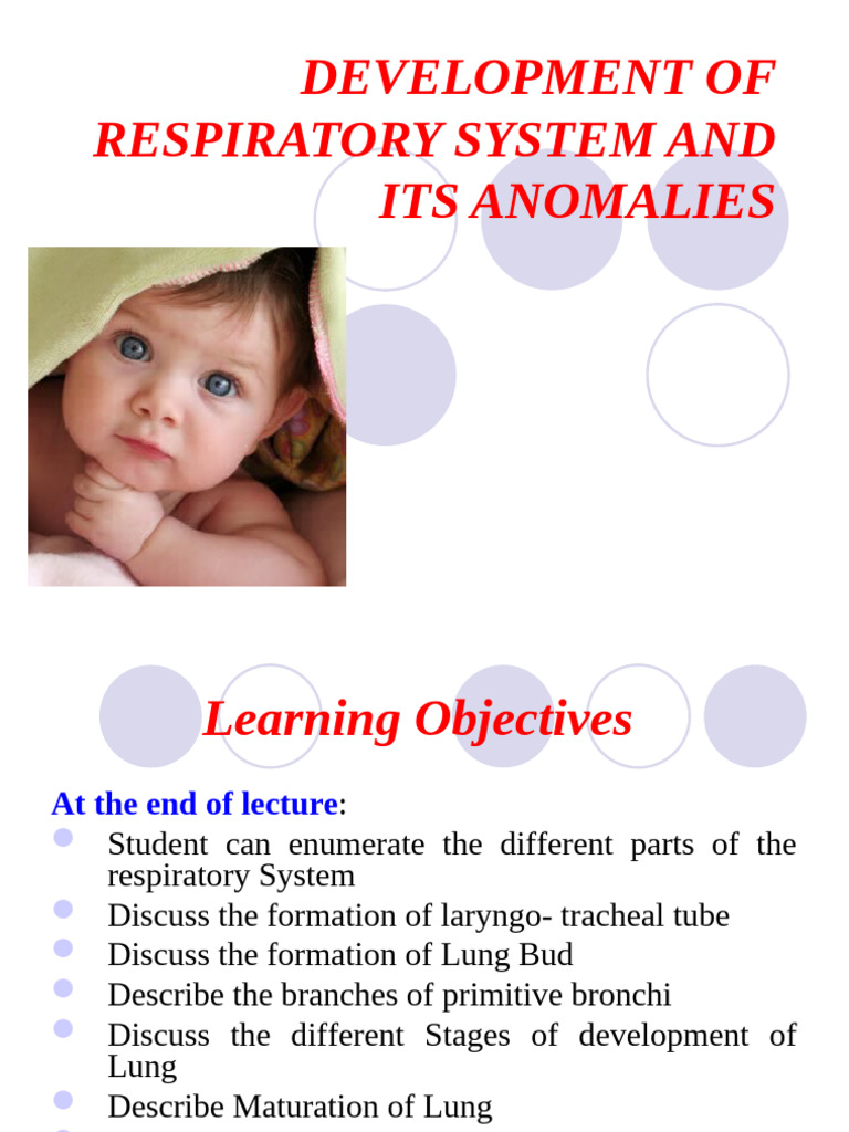 Respiratory System Development & Anomalies | PDF | Respiratory Tract | Lung