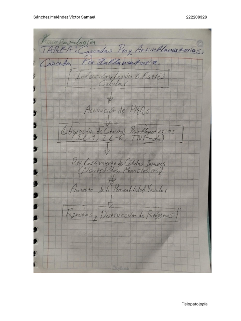 Cascada de Activación Proinflamatoria (Tarea) | PDF