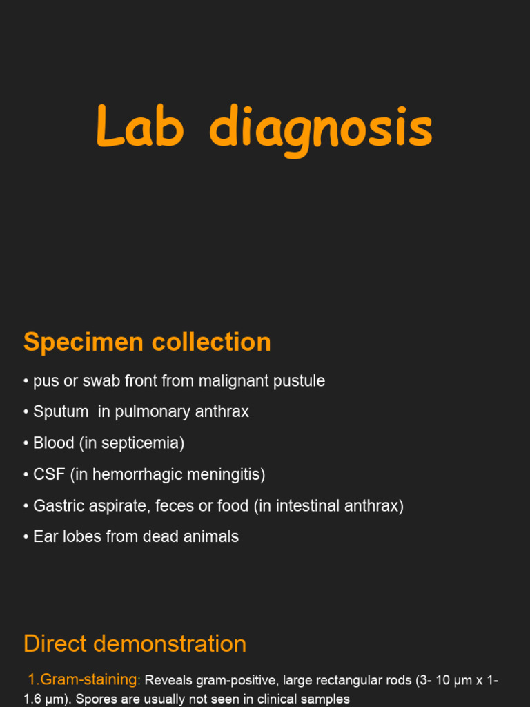 Anthrax | PDF | Anthrax | Bacteria