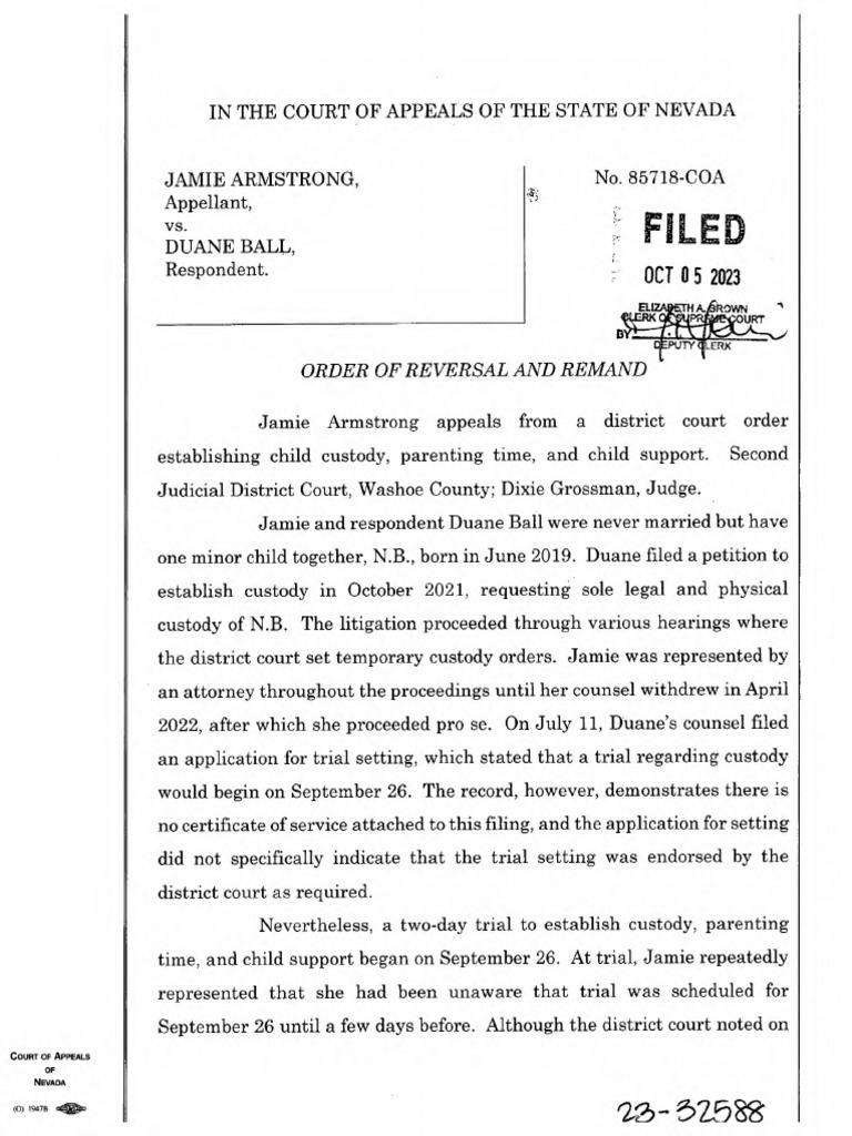 NV Supreme Court-Order of Reversal and Remand | PDF | Child Custody ...