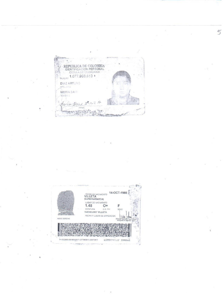 Documentos Afiliacion Luis Amado | PDF