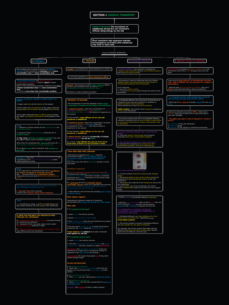 Mind Map - 202372 - 14013 | PDF | Cell Membrane | Osmosis