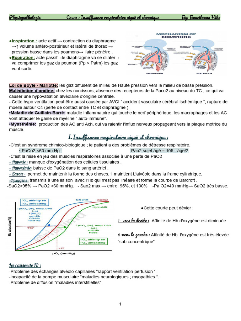 Insuffisance Respiratoire Aiguë Et Chronique | PDF | Respiration ...