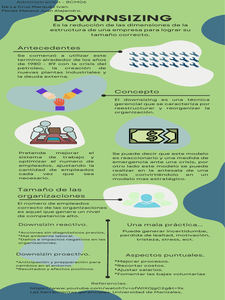 Downsizing 8cm06 | PDF