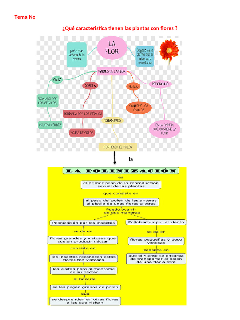 La Flor | PDF | Arte