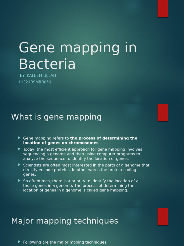 Gene Mapping Techniques in Bacteria | PDF | Gene | Plasmid