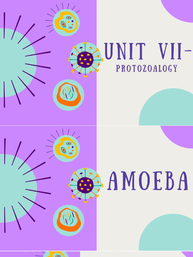 Unit 7 - Presentation On Amoeba | PDF