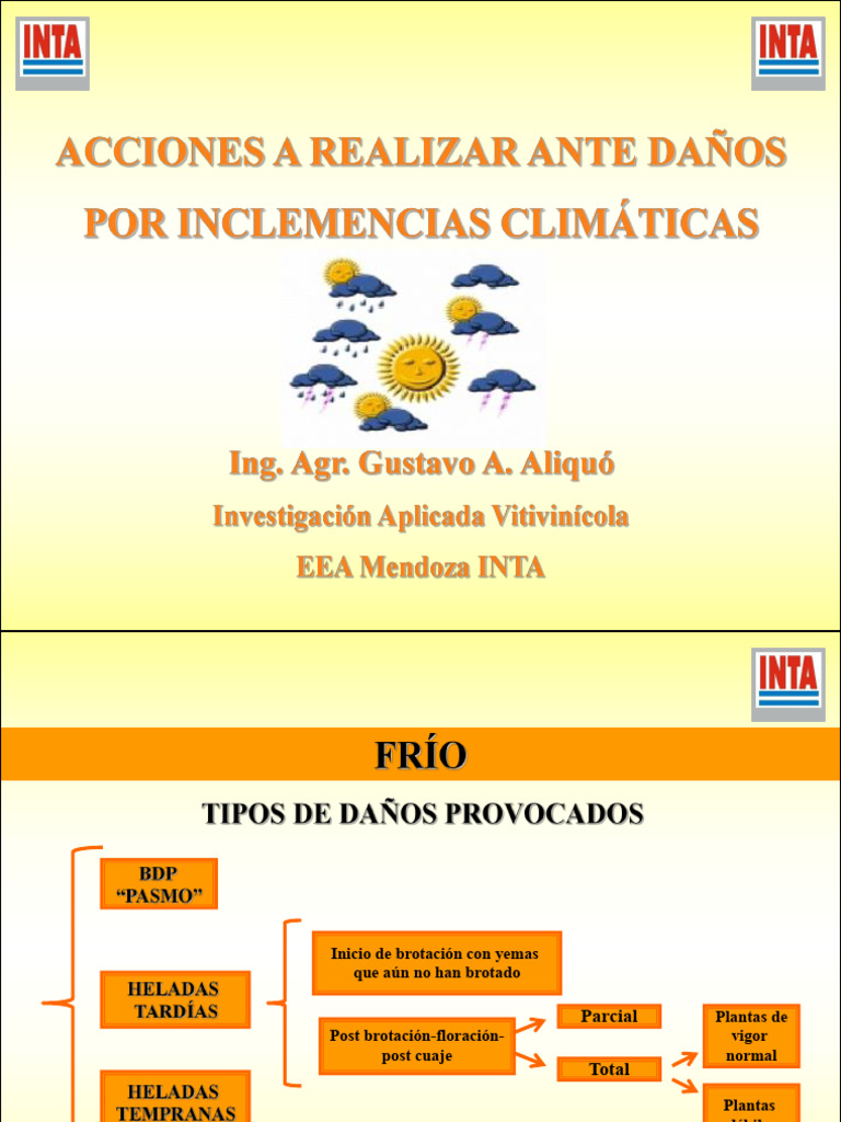 Acciones Ante Inclemencias Climáticas | PDF | Vino | Fertilizante