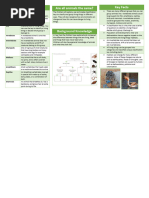 Branching Key Worksheet for Animals | PDF | Invertebrate | Zoology
