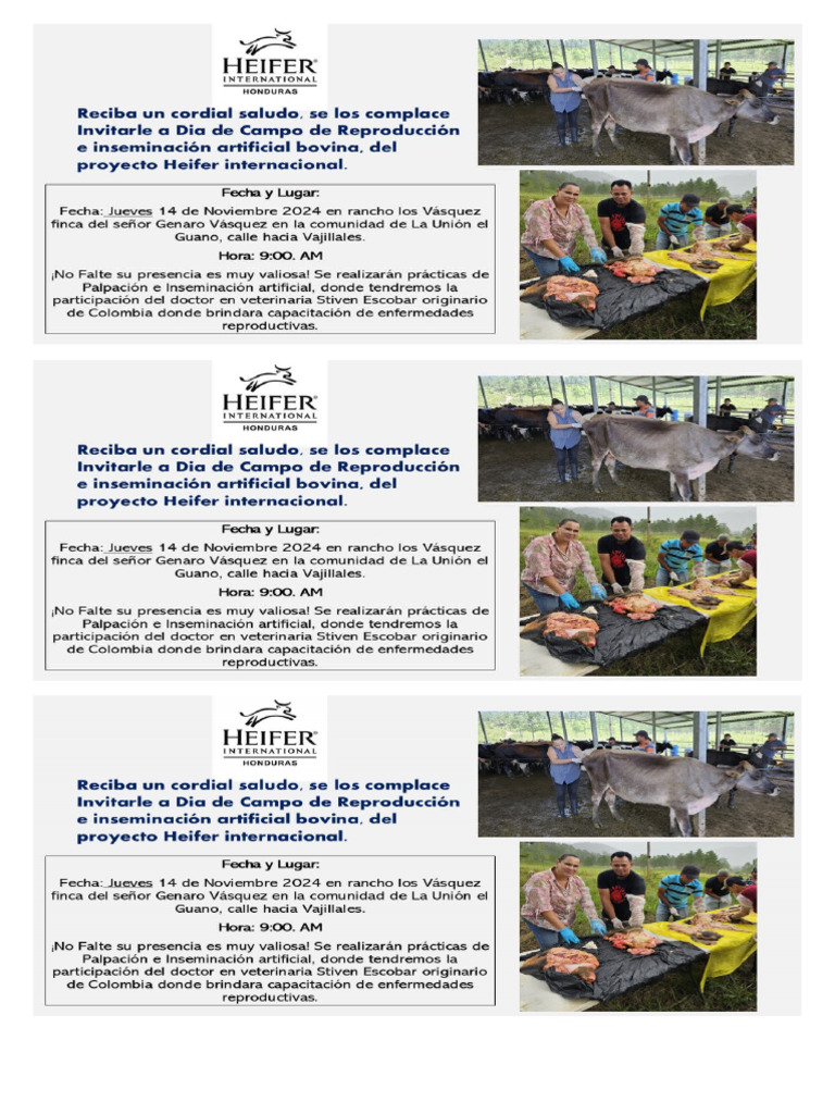 Invitacion El Guano | PDF