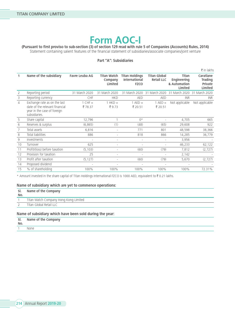 Consolidated Financial Statements-2020 | PDF | Audit | Going Concern