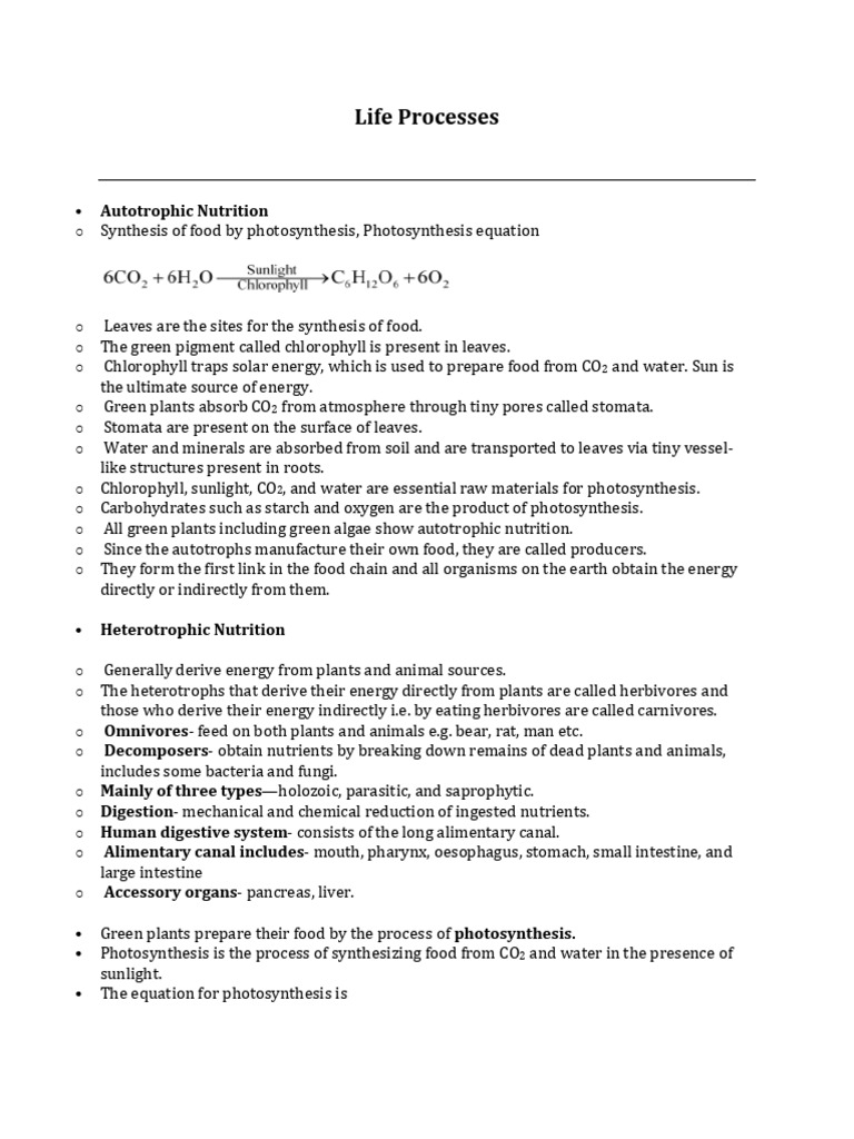 Class - 10 Science Revision Notes Chapter - 5 Life Processes | PDF ...