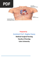 Cardiovascular Assessment Documentation Guide | PDF