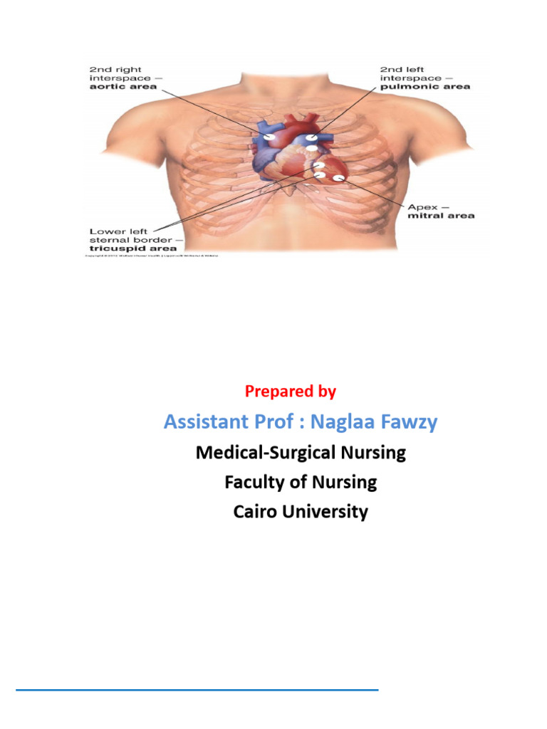 Assessment of Cardiovascular 2023 (Final1) | PDF | Heart | Heart Valve