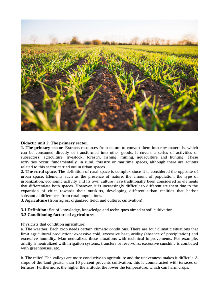 Sector primario | PDF | Crop Rotation | Agriculture