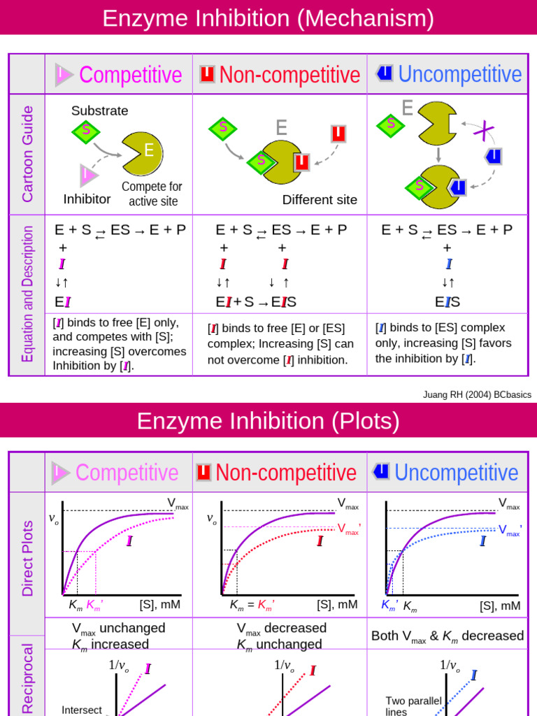 Enz04 Inhibition | PDF | Enzyme Inhibitor | Enzyme Kinetics