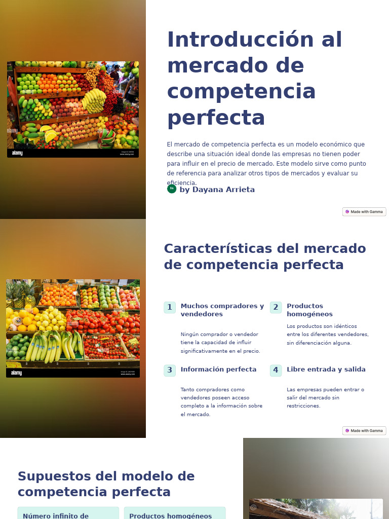 Introduccion Al Mercado de Competencia Perfecta | PDF | Mercado ...
