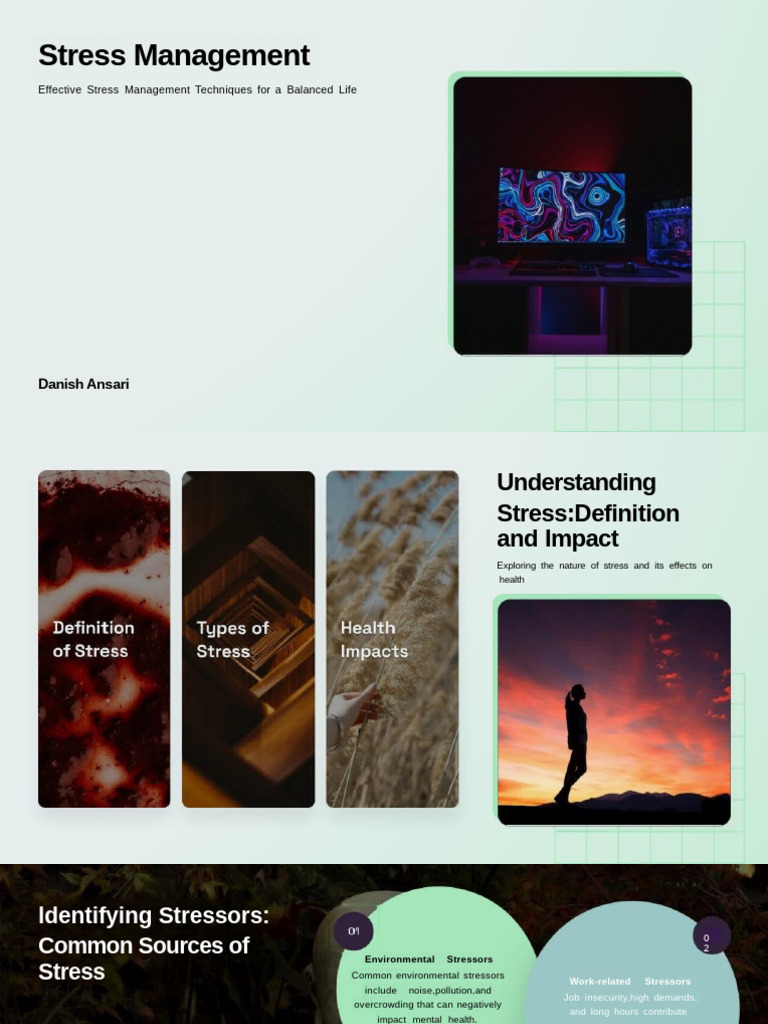 Stress Management Presentation | PDF | Stress (Biology) | Stress Management