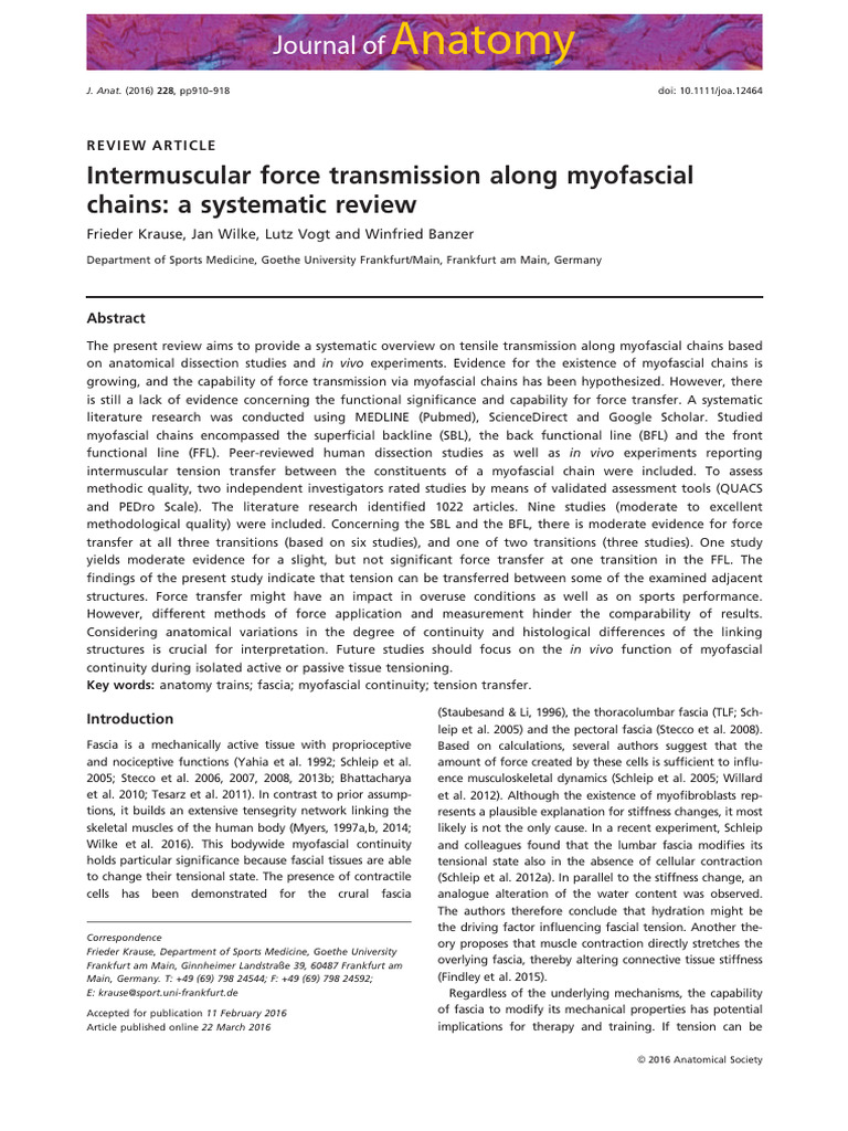 Krause-2016-Intermuscular-force-transmission-along Myofascial Chains ...