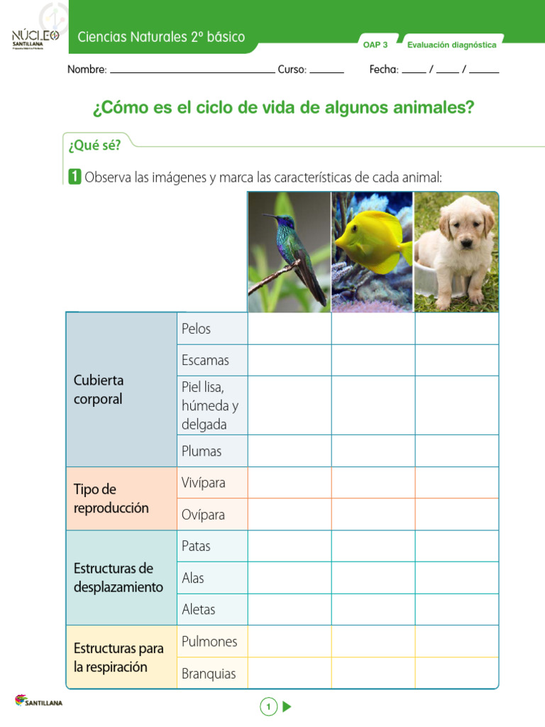¿Como Es El Ciclo de Vida de Los Animales | PDF | Pescado | Pulmón