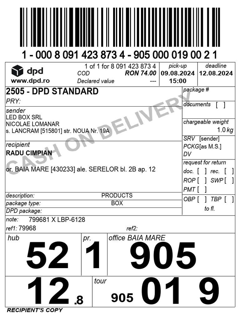 2505 - DPD Standard: 1 of 1 For 8 091 423 873 4 | PDF