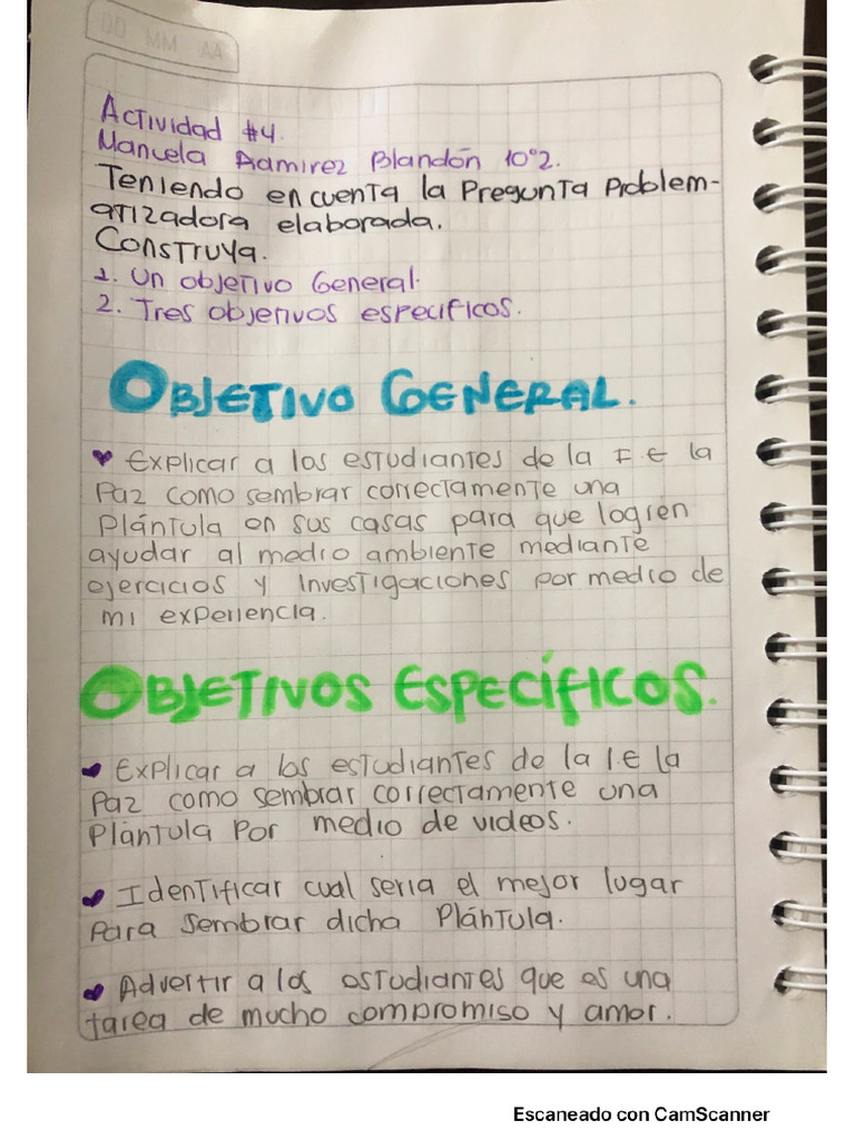 ACTIVIDAD 4 - OBJETIVOS | PDF