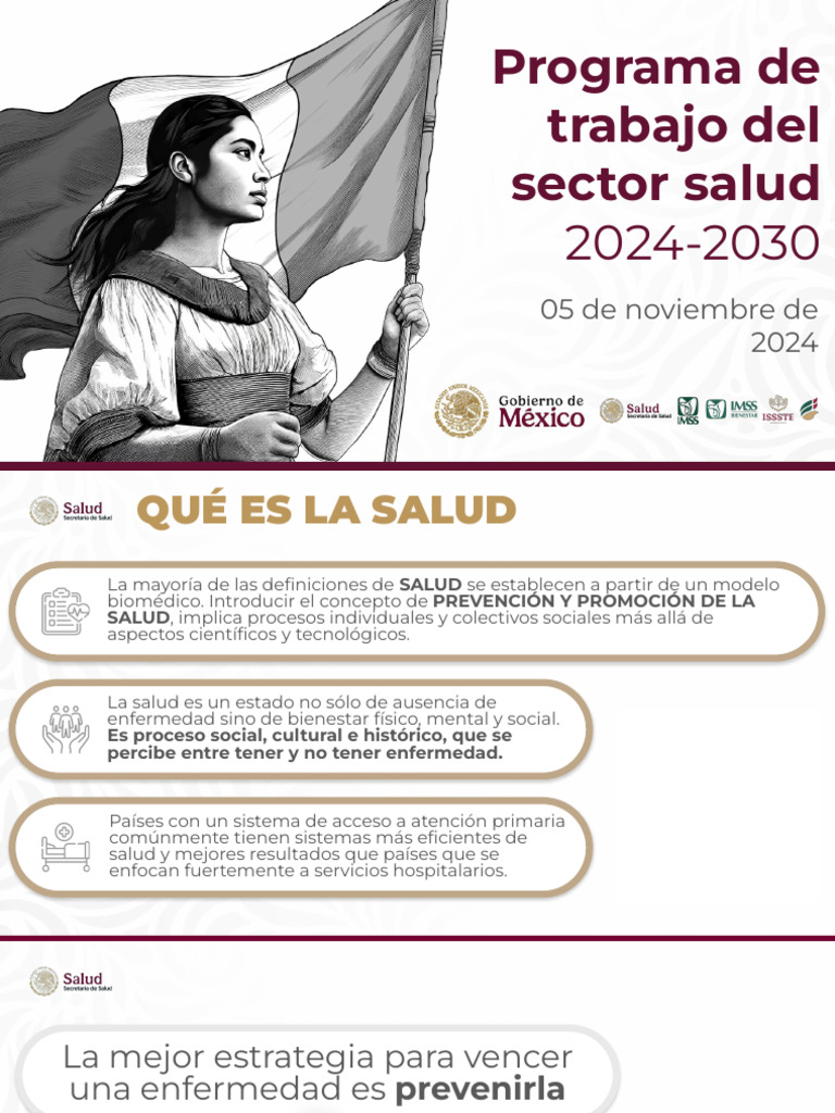 Programa de Trabajo Del Sector Salud 2024-2030 | PDF | Hospital | Enfermedades cardiovasculares