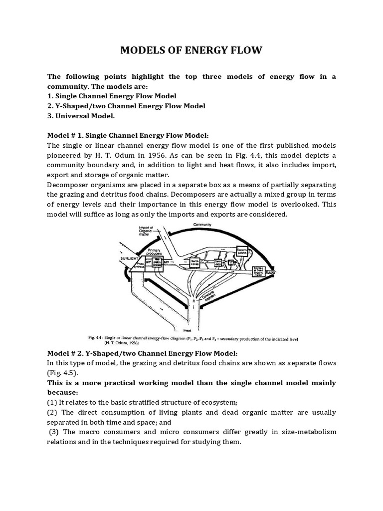 1577unit-9 - MODELS OF ENERGY FLOW - Plant Ecology and Phytogeography ...