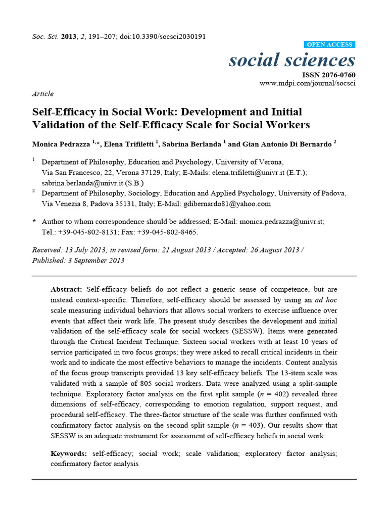 Self-Efficacy in Social Work Development and Initi | PDF | Self ...